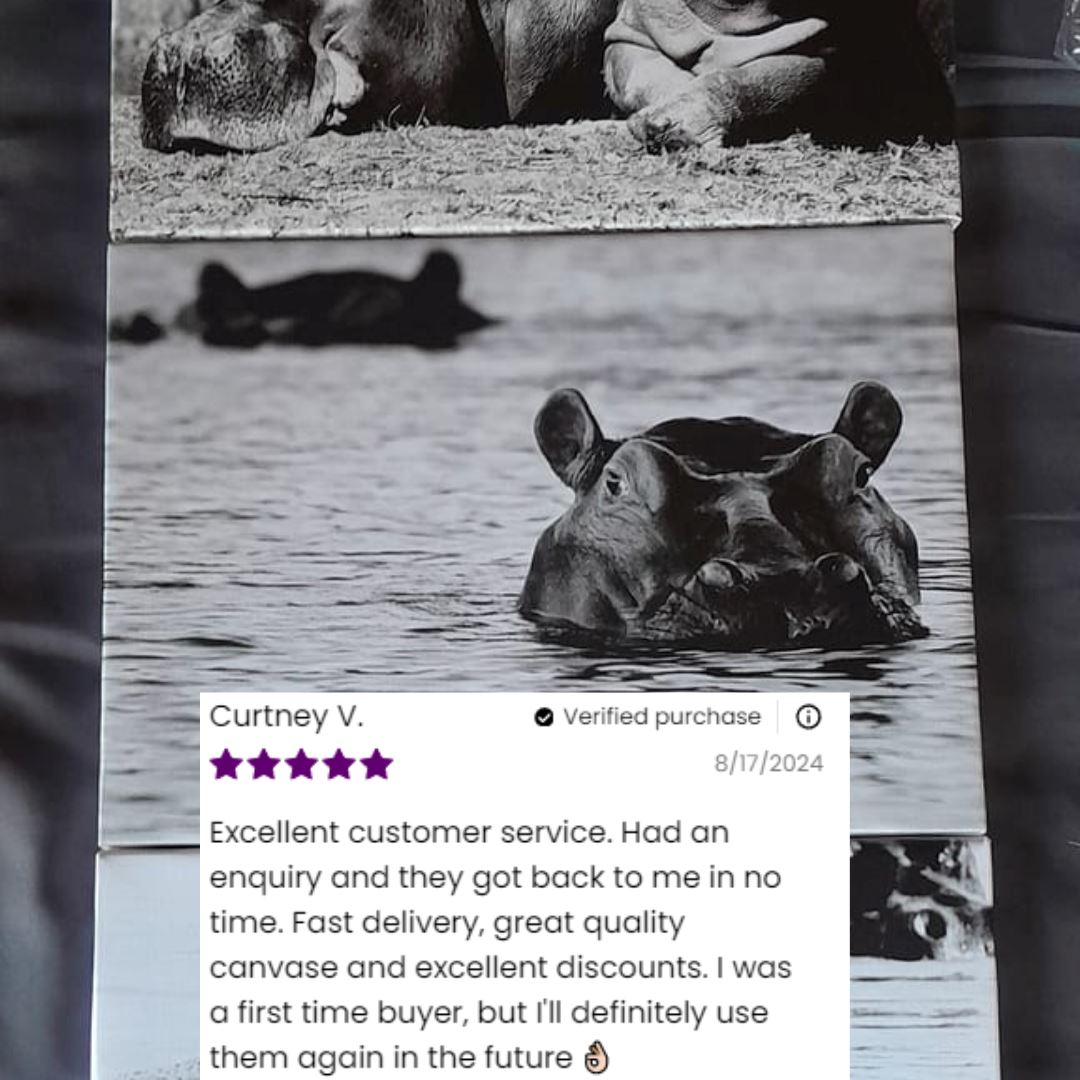 NetCanvas - Canvas Printing Leaders: Lowest Prices & Fastest Delivery